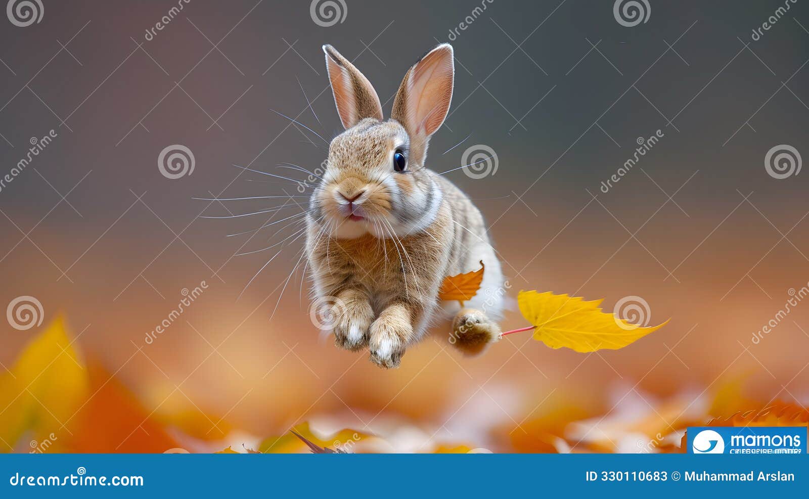 Funny Rabbit Flying. Image of a Playful Tabby Rabbit Jumping in Mid-air ...