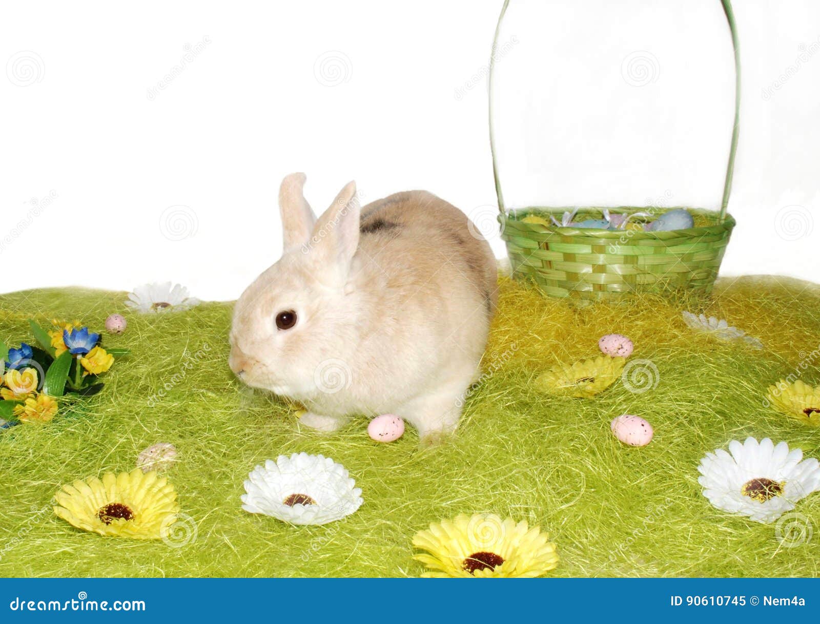 Funny rabit stock image. Image of flower, eggs, furry - 90610745