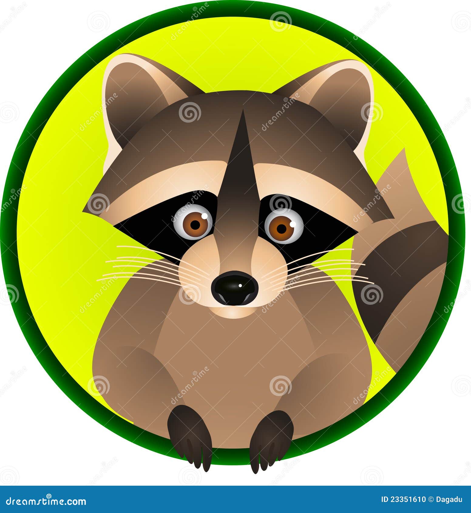 Funny raccoon cartoon stock vector. Illustration of drawing - 23351610