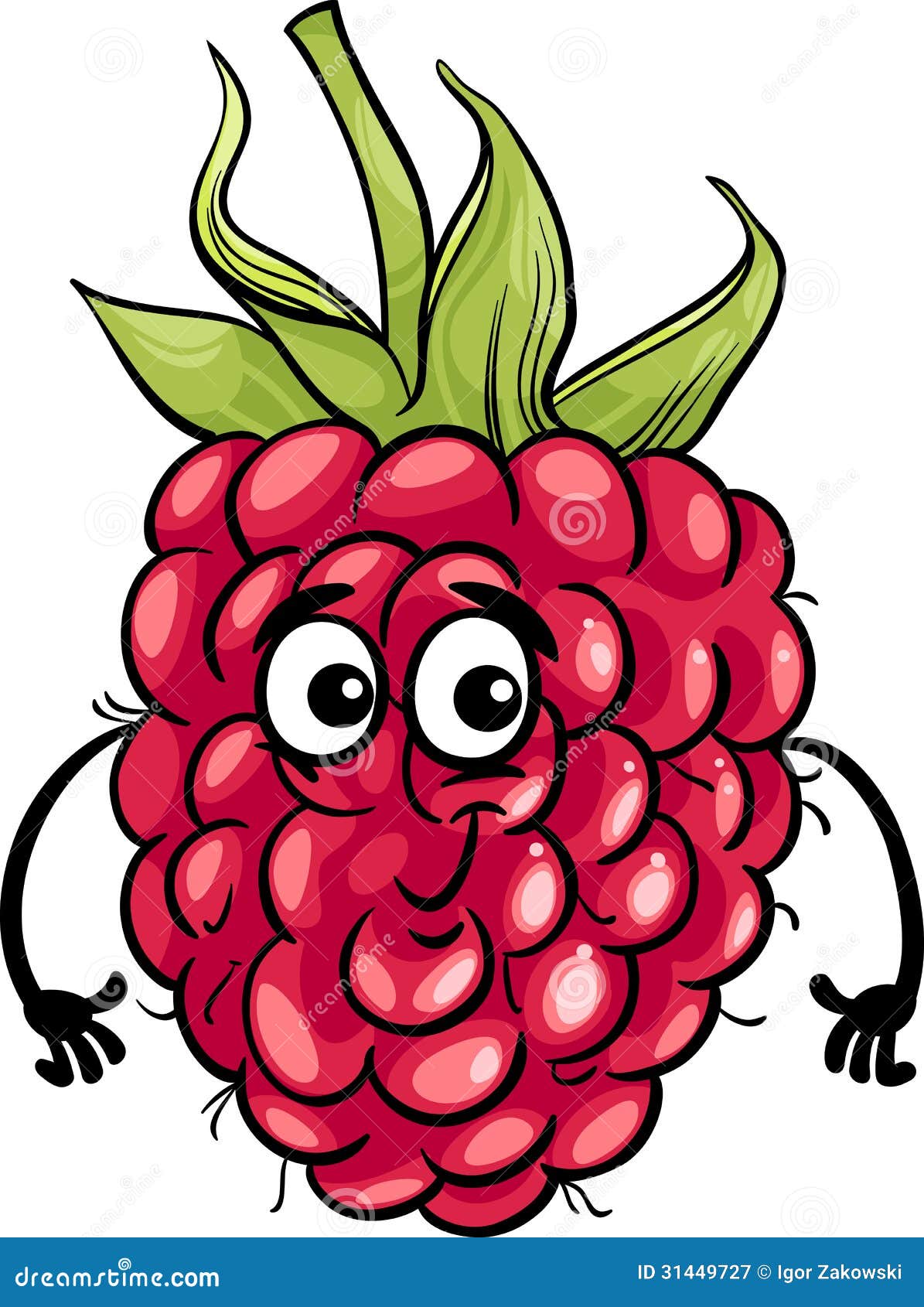 Raspberry Fruit Botanical Collection Hand Draw Vintage Style Black And ...