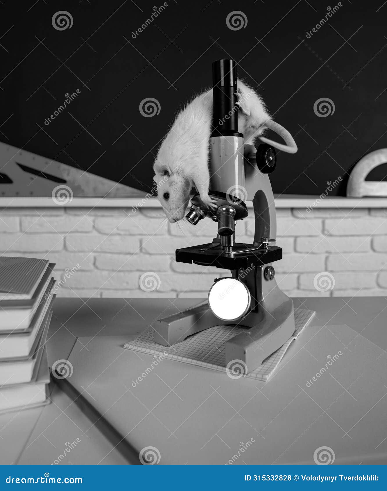 Funny Rat Sit on Microscope, Banner for University College or School ...