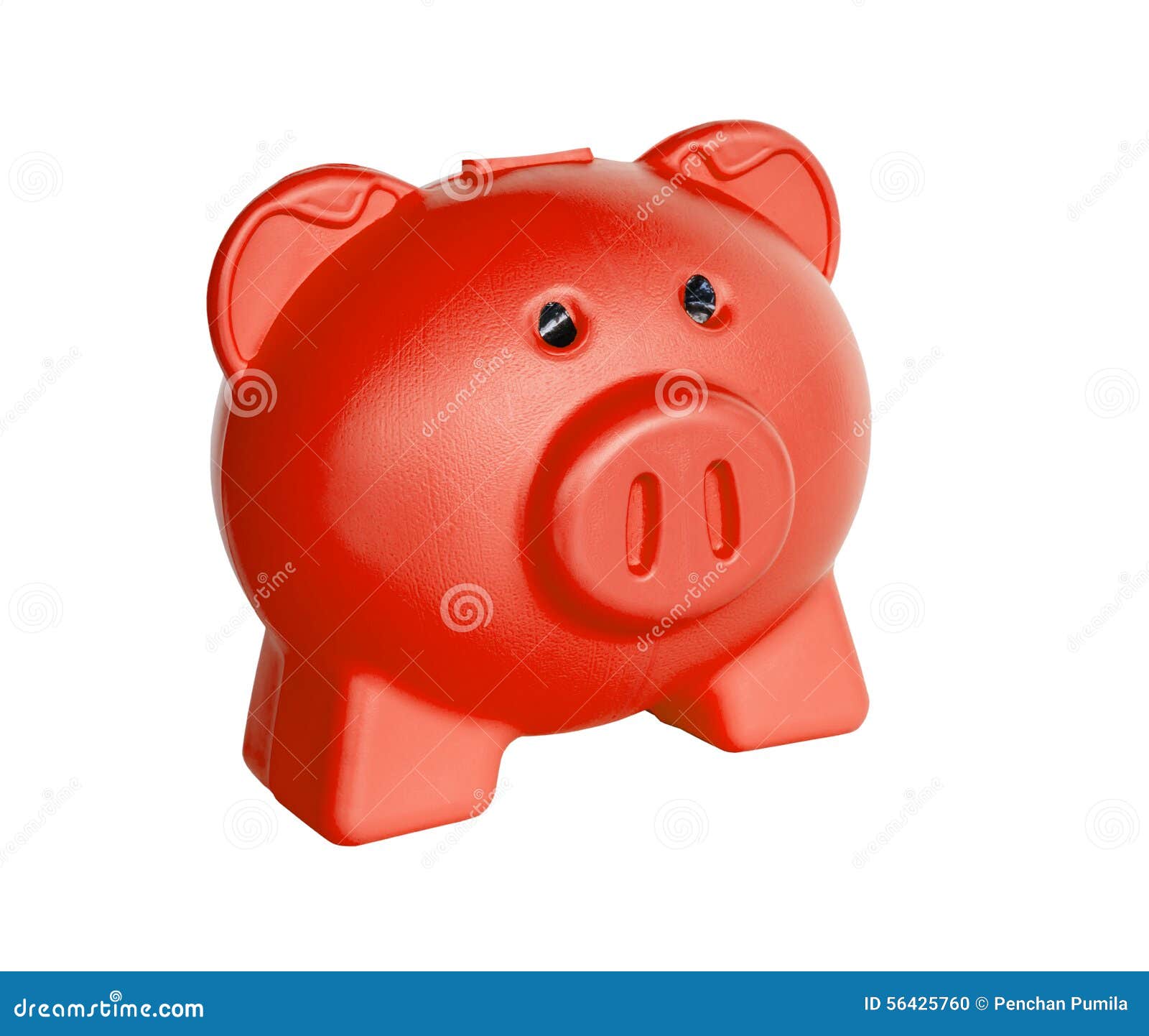 Funny red Pig Piggy stock photo. Image of piggy, isolated - 56425760