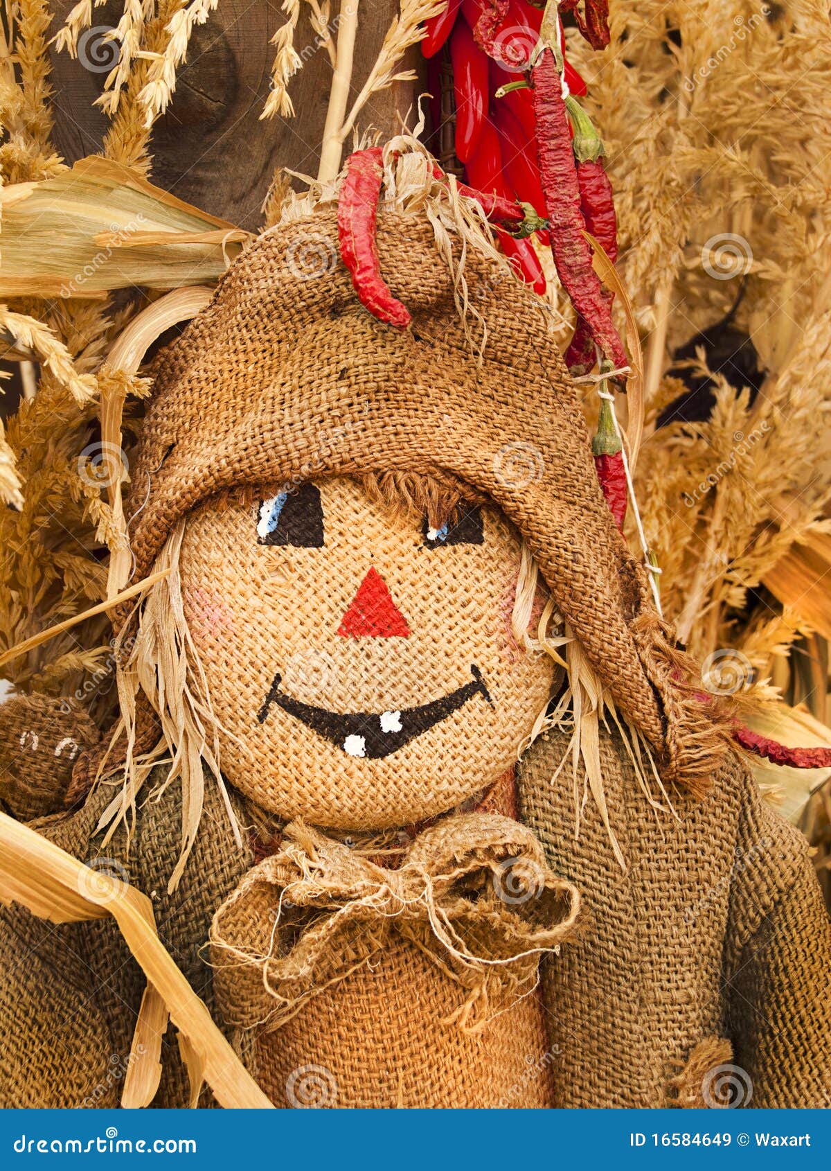 Funny Scarecrow With Burlap Clothes Royalty Free Stock Images - Image ...