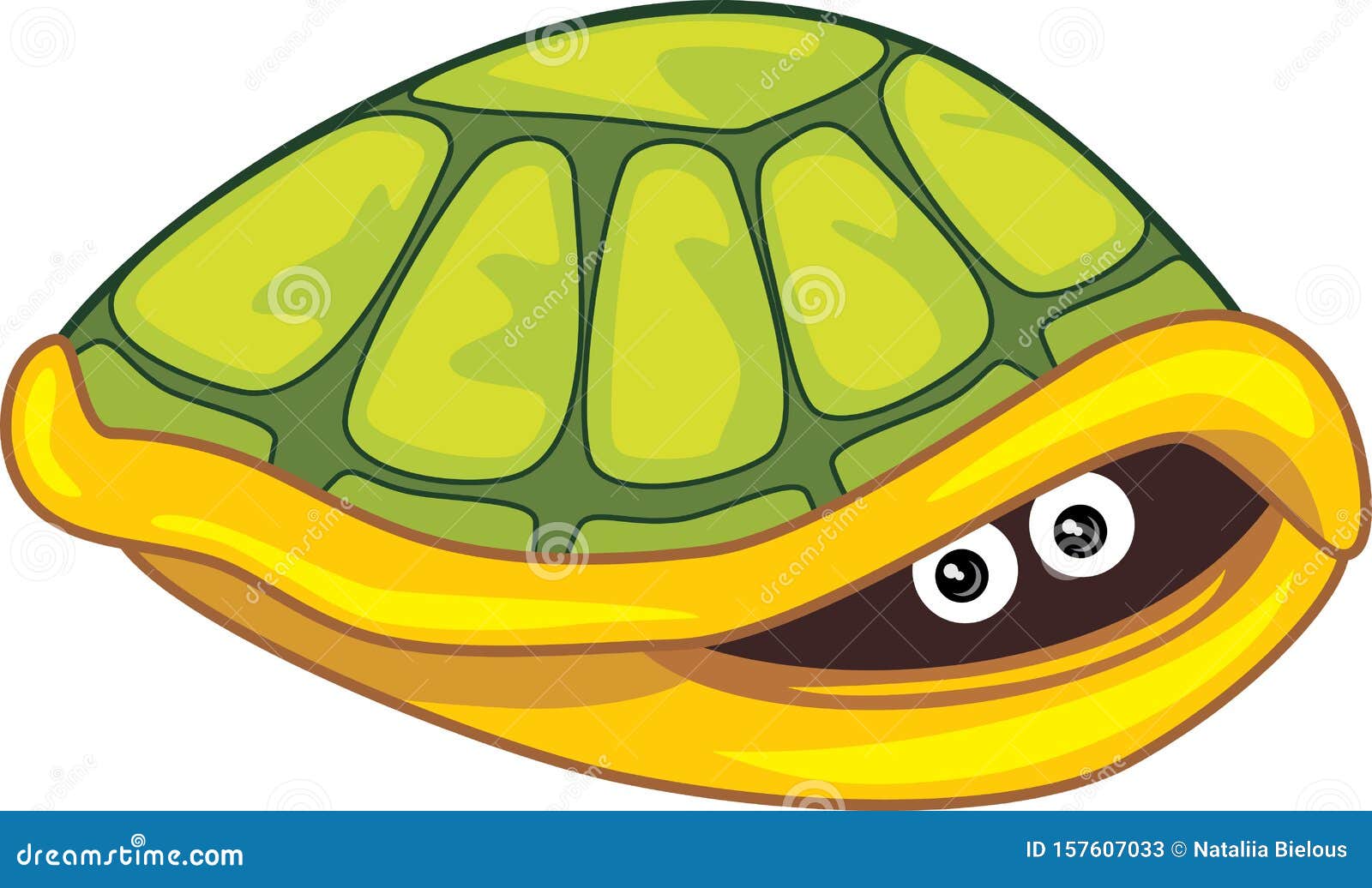 Turtle Scared Stock Illustrations – 48 Turtle Scared Stock ...