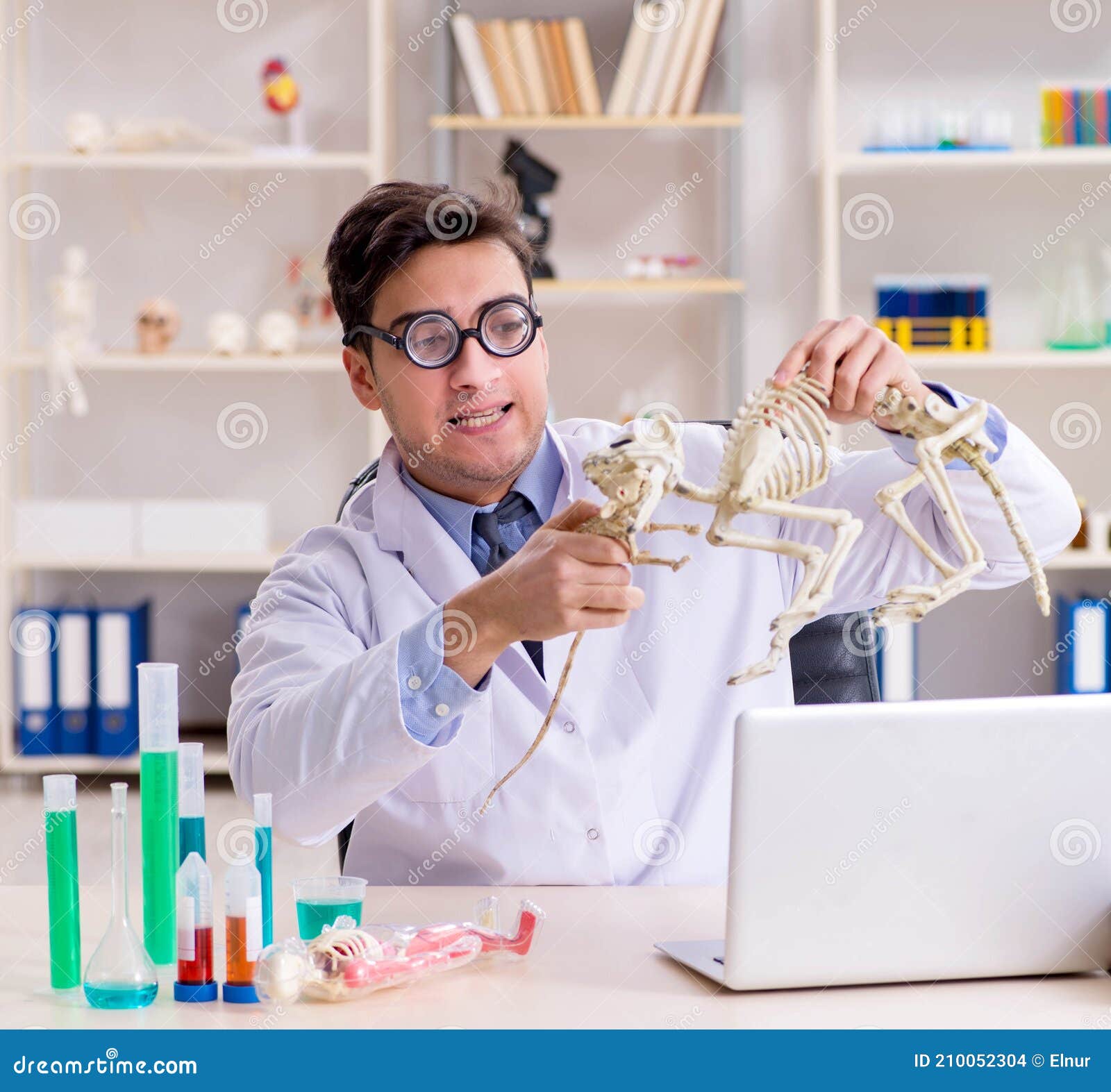 Funny Scientist with Cat Skeleton in Lab Clinic Stock Photo - Image of ...