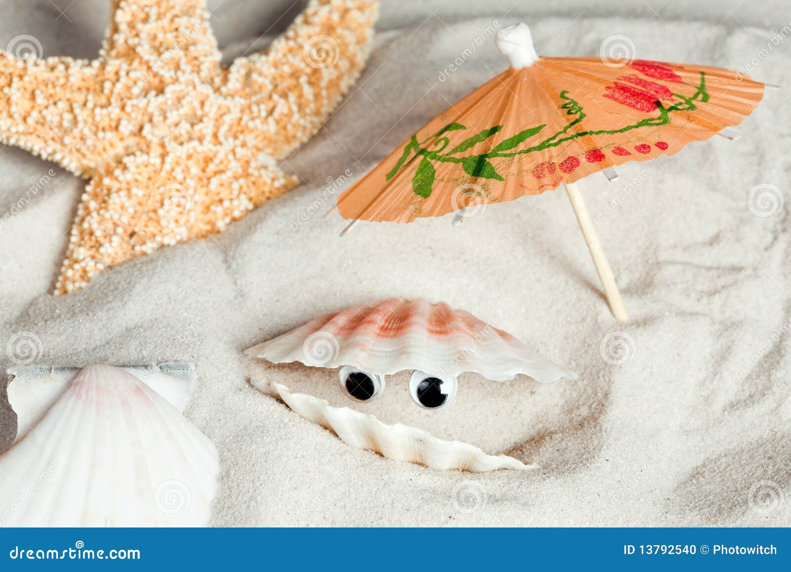 Funny seashell stock photo. Image of seashore, seashell - 13792540