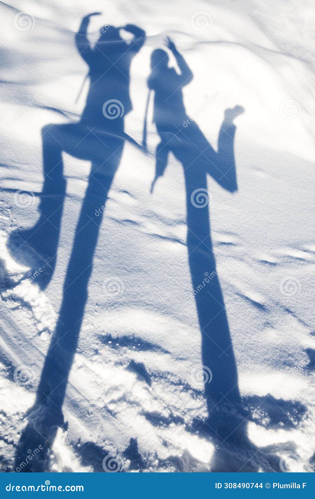 Funny Shadows of Two People Posing on White Snow Stock Photo - Image of ...
