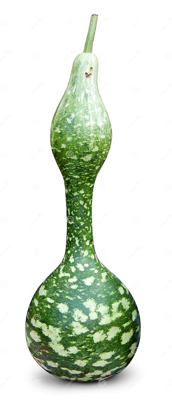 Funny shape marrow stock image. Image of path, funny - 16384265