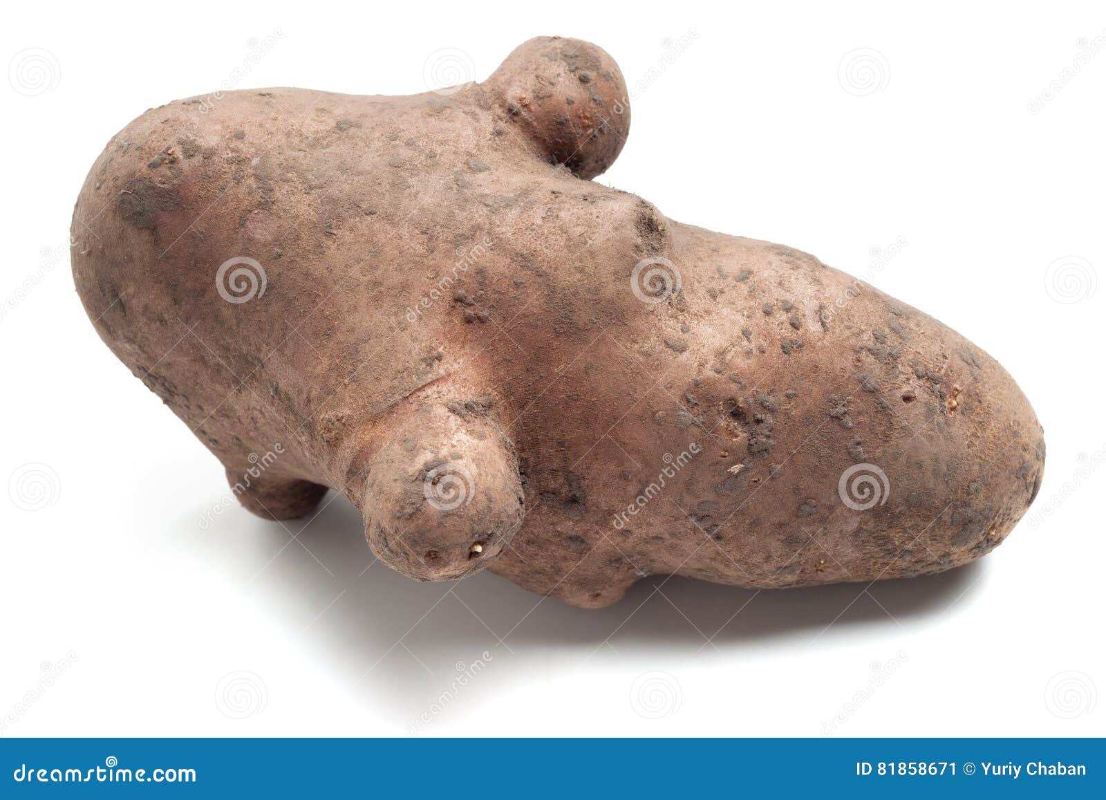 Funny shaped potato stock image. Image of farm, fresh - 81858671