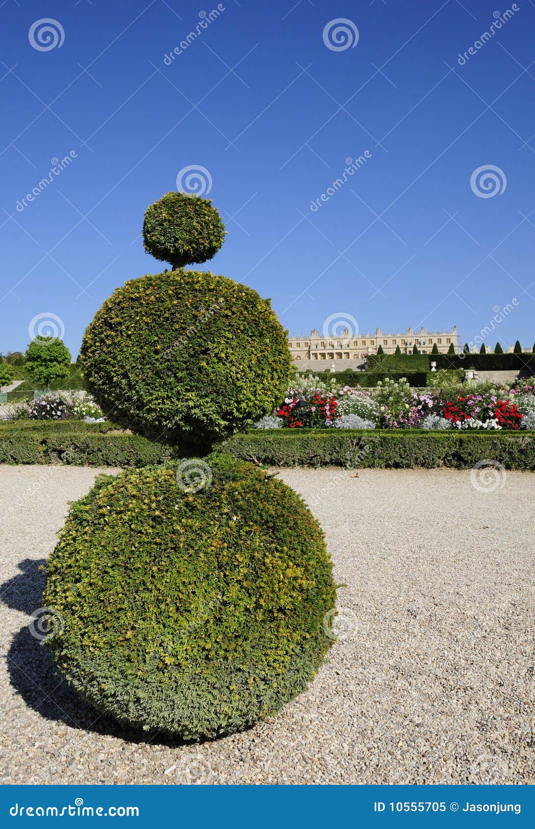 Funny Shaped Tree for Artwork of Garden Stock Image - Image of green ...