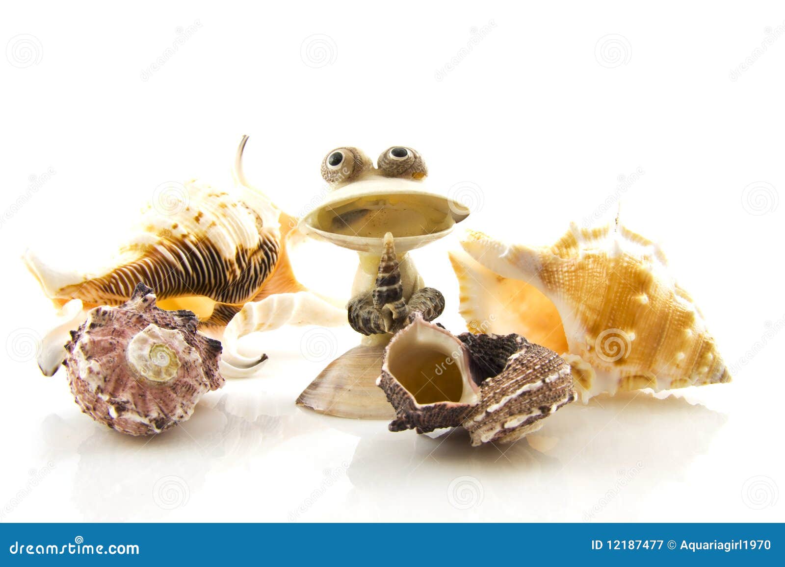 Funny Shell Creation Stock Image | CartoonDealer.com #12187477