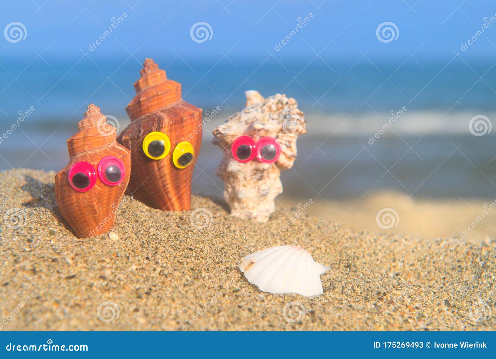 Funny shells at the beach stock image. Image of beach - 175269493