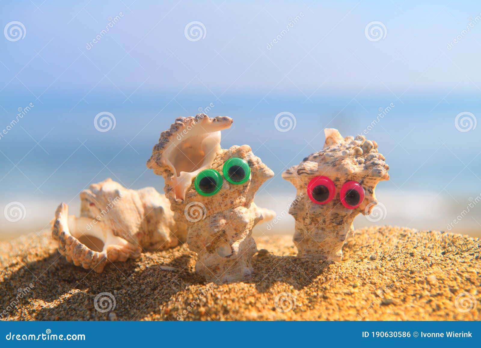 Funny shells at the beach stock photo. Image of horizon - 190630586