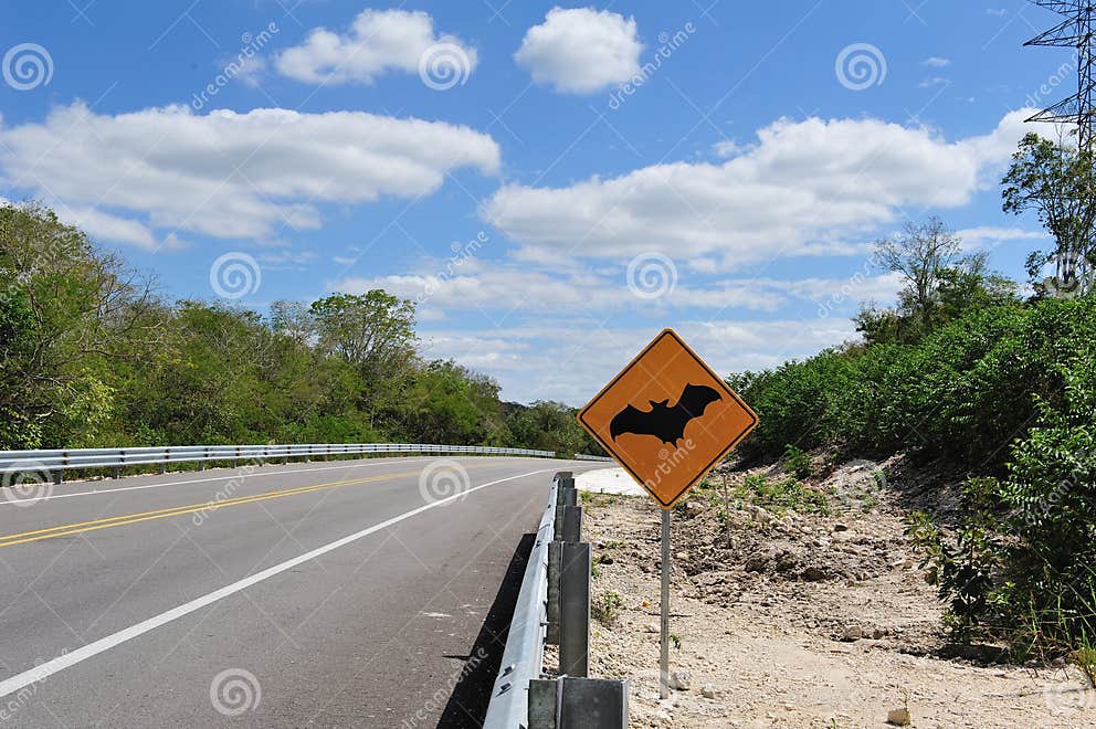 Funny signs with bat stock image. Image of highways, indication - 18536715