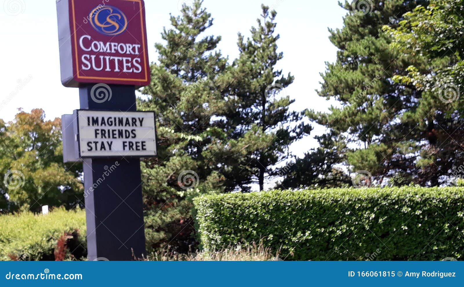 Funny editorial image. Image of funny, hotel, trees - 166061815