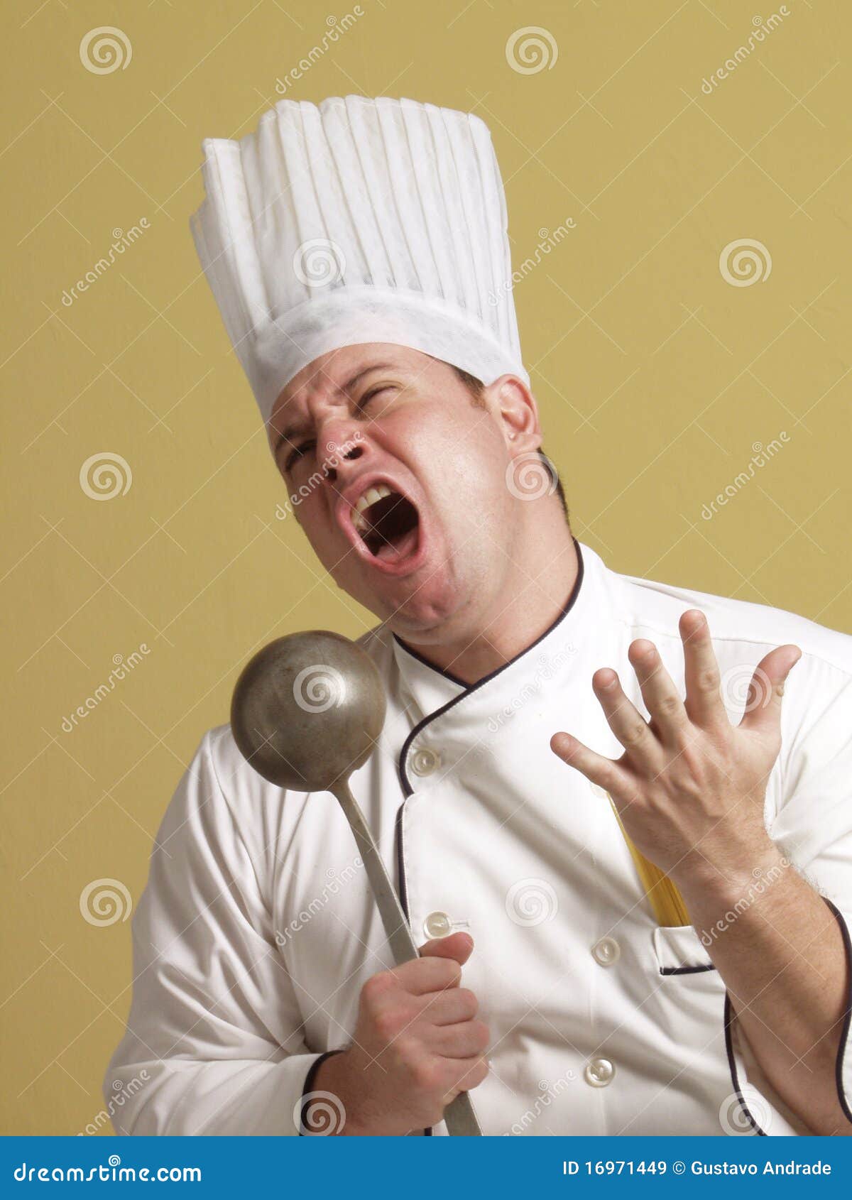 Funny singing chef stock image. Image of concepts, utensil - 16971449