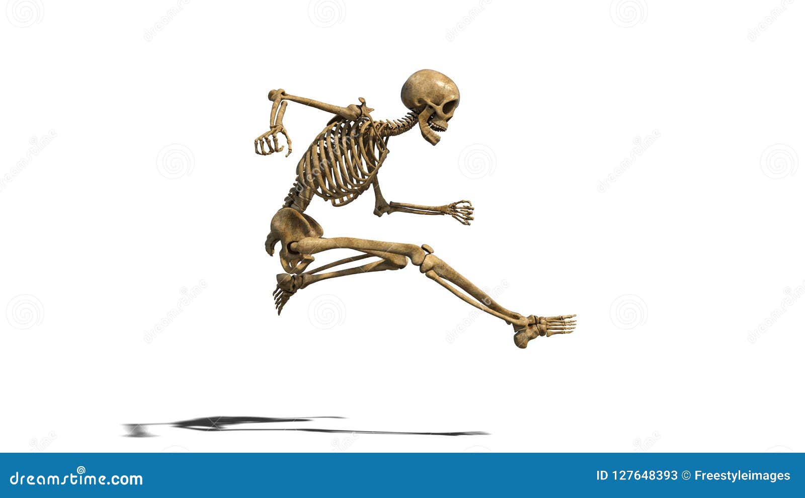 Funny Skeleton Vector Illustration | CartoonDealer.com #45058758