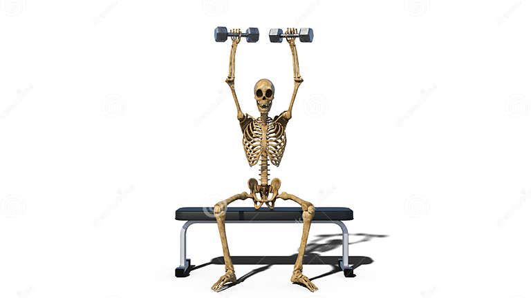 Funny Skeleton Lifting Weights on Bench, Human Skeleton Exercising on ...