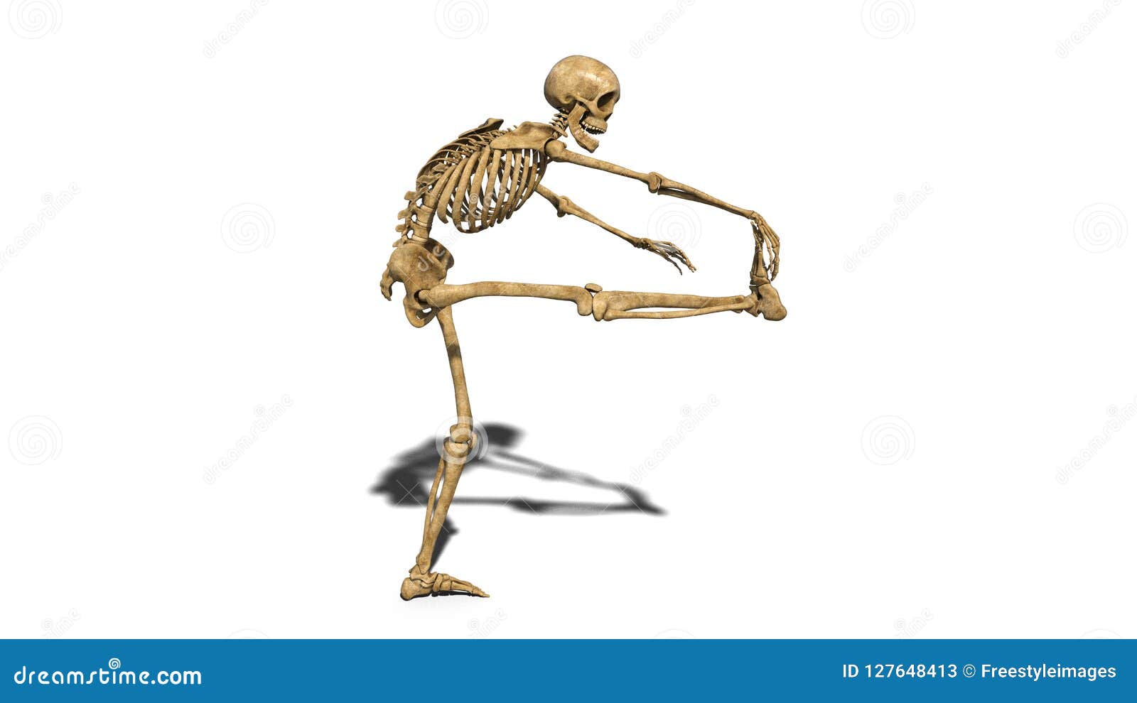 Funny Skeleton Vector Illustration | CartoonDealer.com #45058758