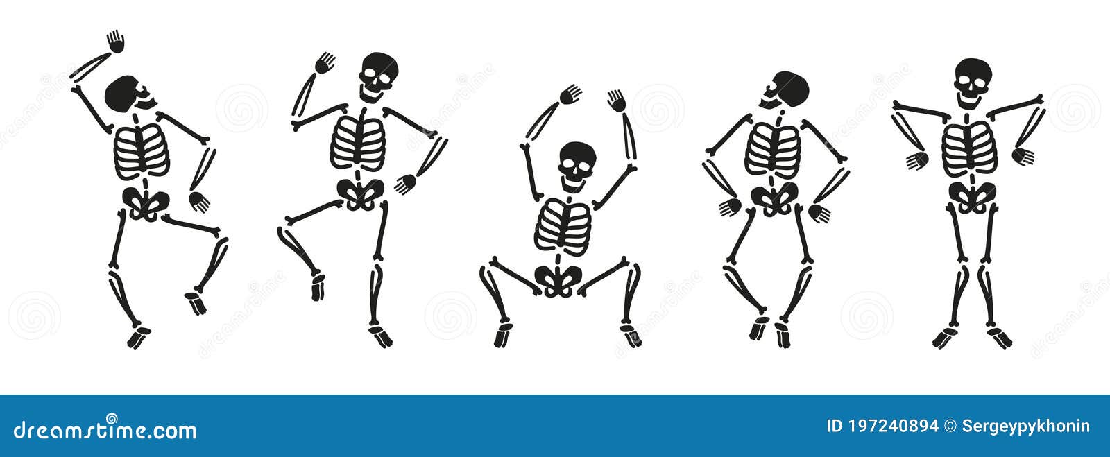 Funny Skeleton Doing Push-ups On One Arm, Human Skeleton Exercising ...