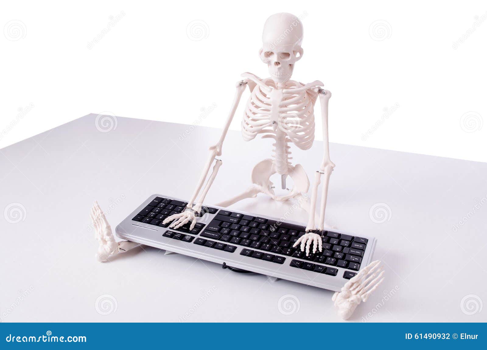 The Funny Skeleton Working on Computer Stock Photo - Image of business ...