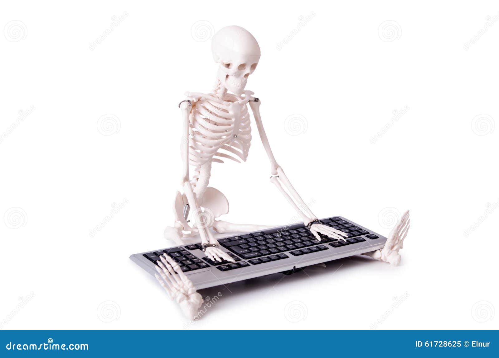 The Funny Skeleton Working on Computer Stock Image - Image of computer ...