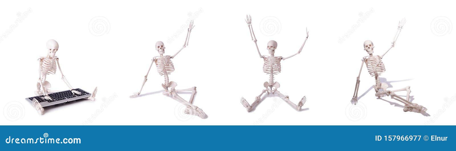 Funny Skeleton Working on Computer Stock Image - Image of businessman ...