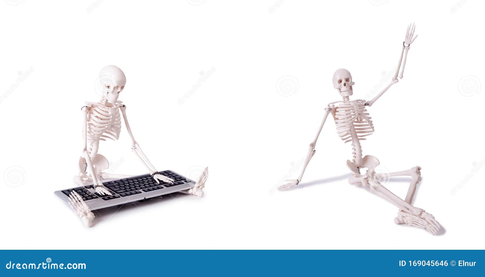 Funny Skeleton Working on Computer Stock Photo - Image of businessman ...