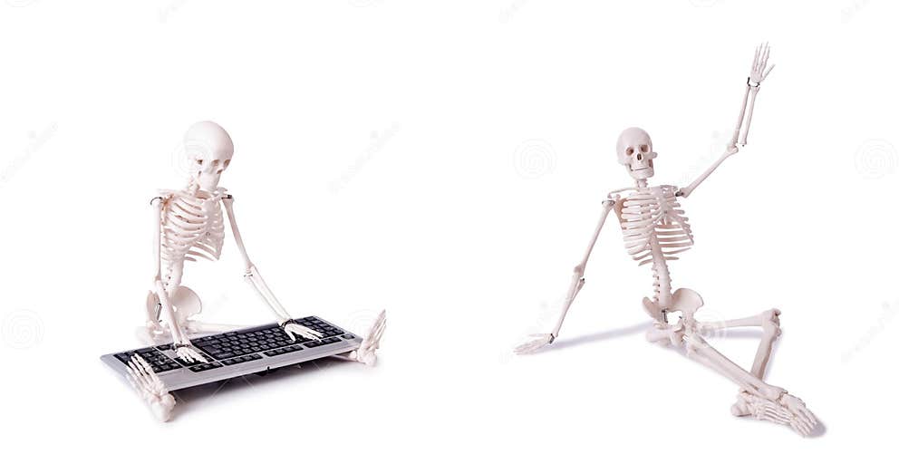 Funny Skeleton Working on Computer Stock Photo - Image of businessman ...