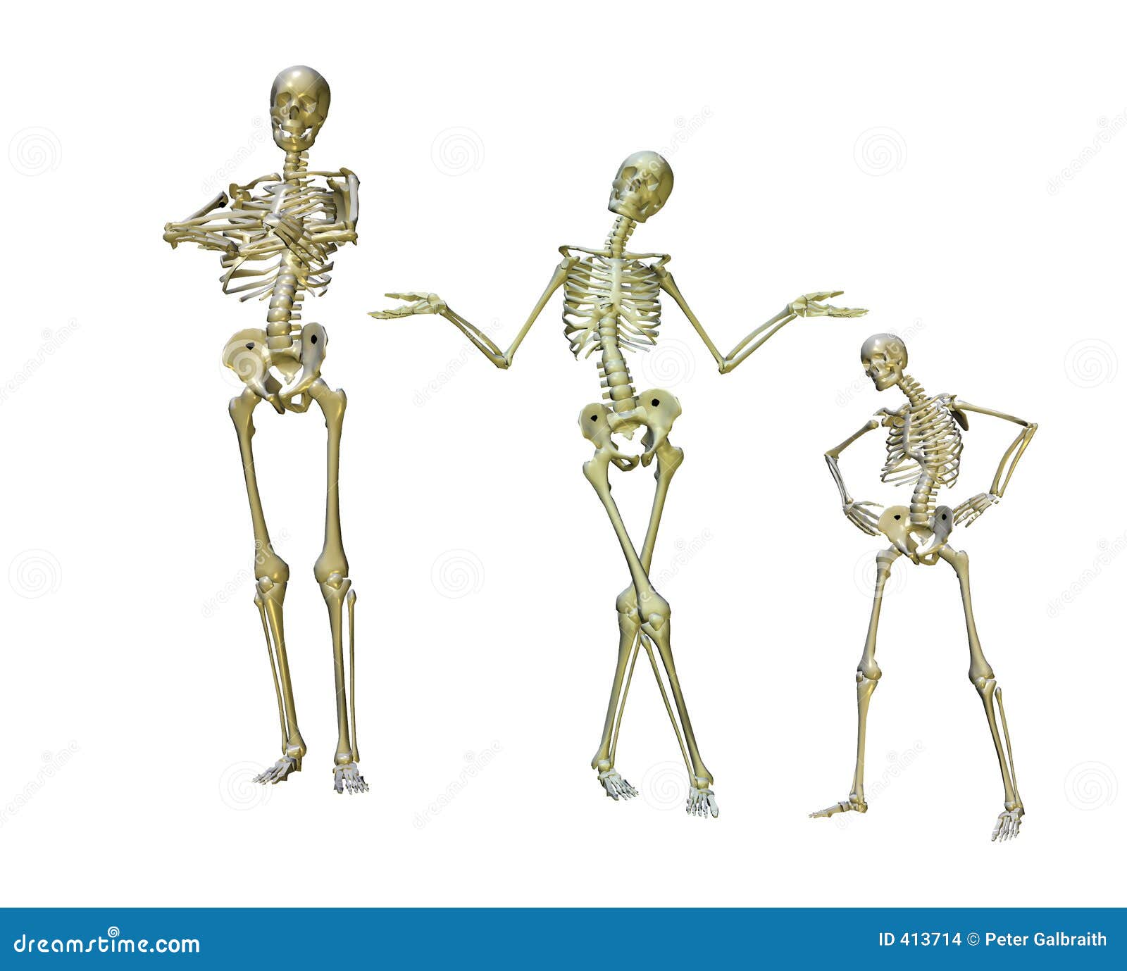 Funny skeletons stock illustration. Illustration of bone - 413714