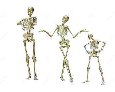 Funny skeletons stock illustration. Illustration of bone - 413714