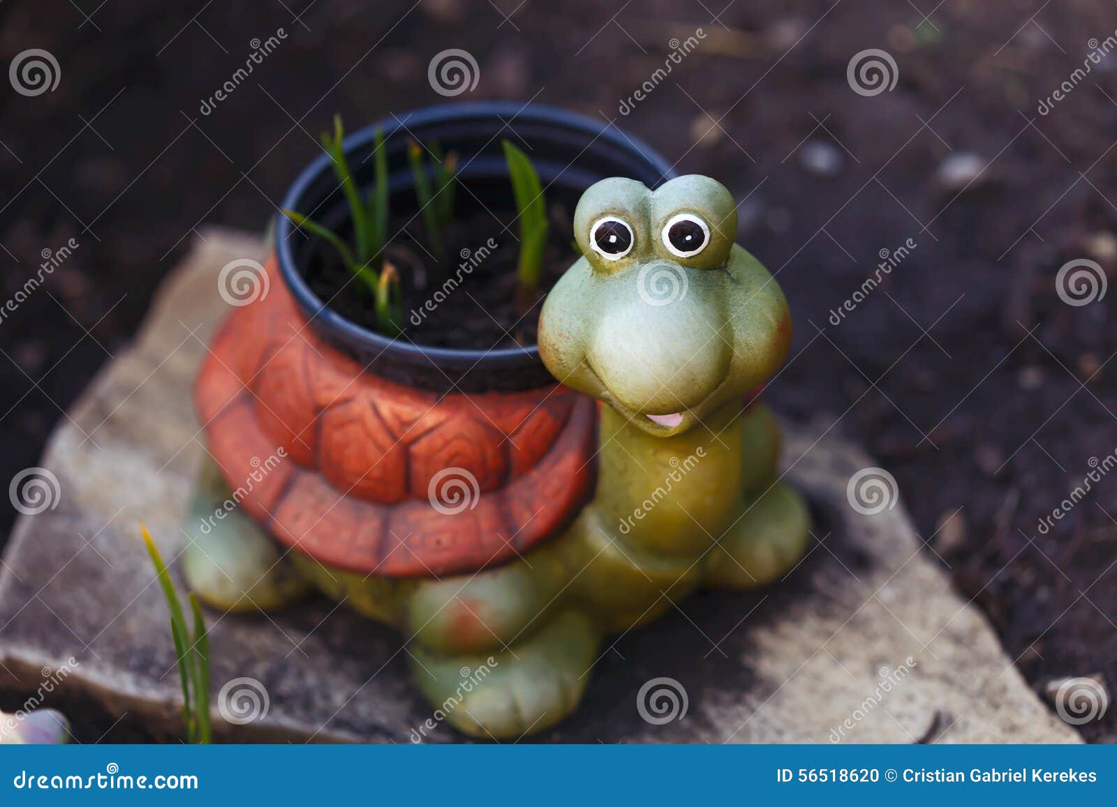 Funny Smiling Ceramic Turtle in the Garden Stock Photo - Image of nice ...