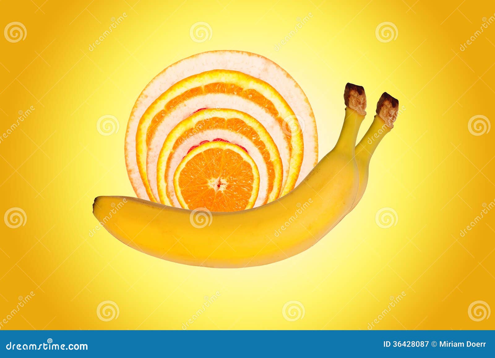 Funny Snail, Made from Fruits and Vegetables Stock Image - Image of ...