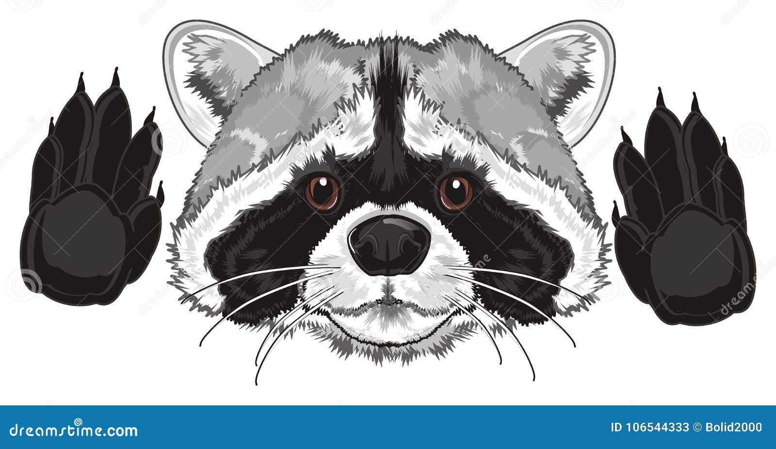 Face of raccoon with paws stock illustration. Illustration of paws ...