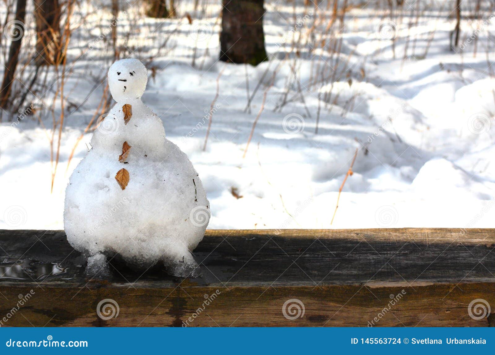 Funny Snowman Melted in the Forest on a Bench Stock Photo - Image of ...