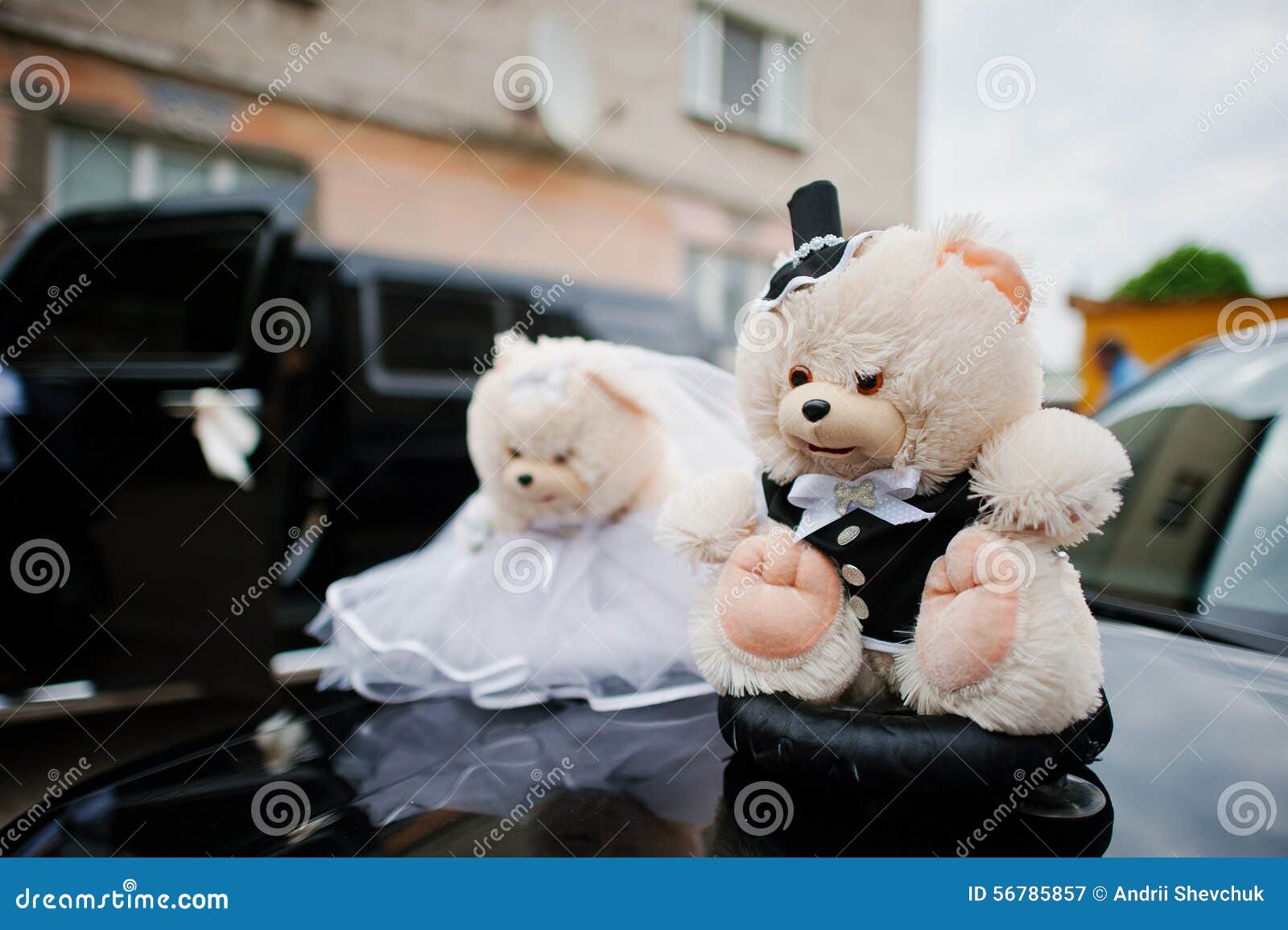 Funny soft toys stock image. Image of bear, front, cute - 56785857
