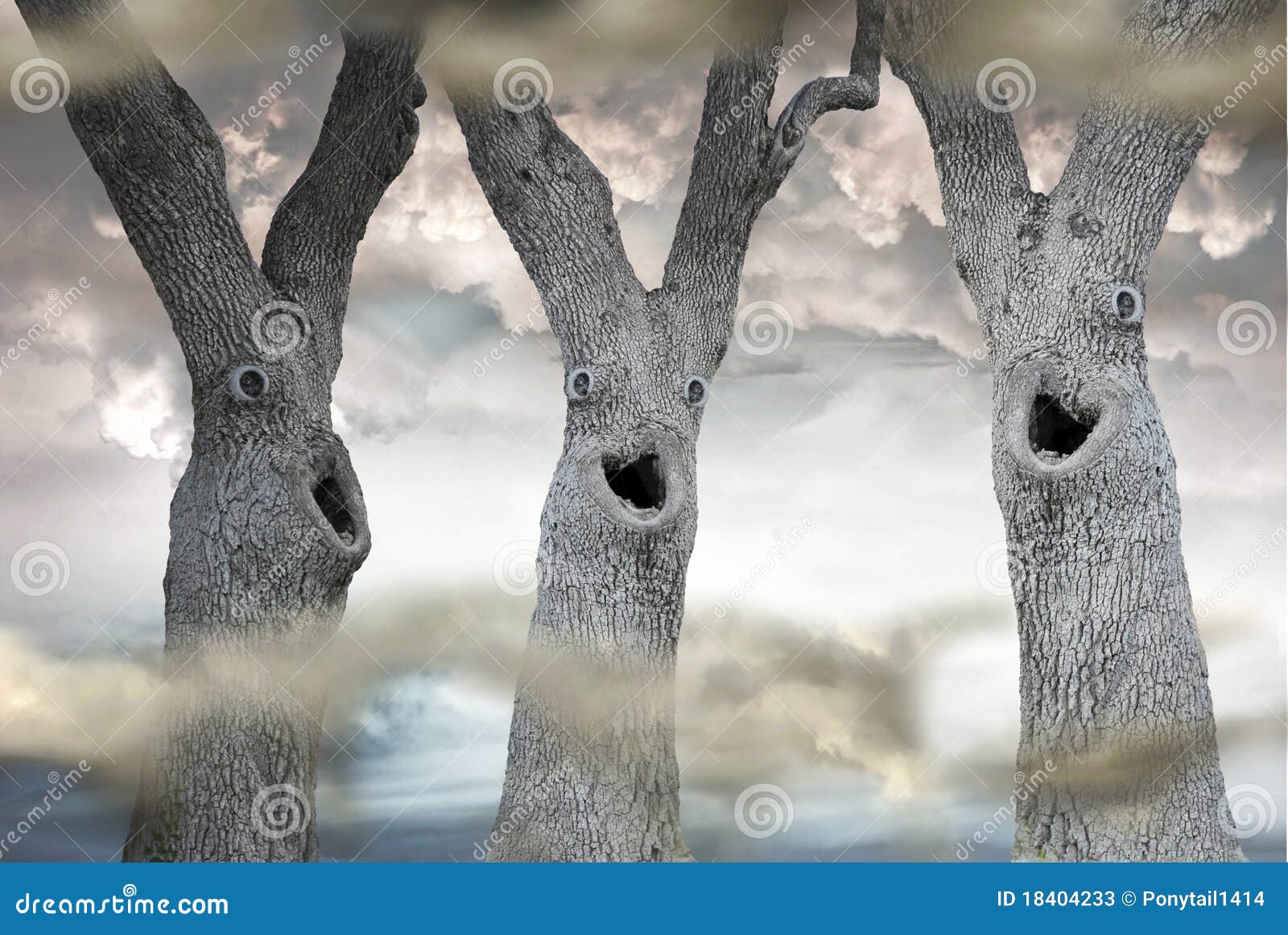 Funny Spooky Trees stock image. Image of eyes, scary - 18404233