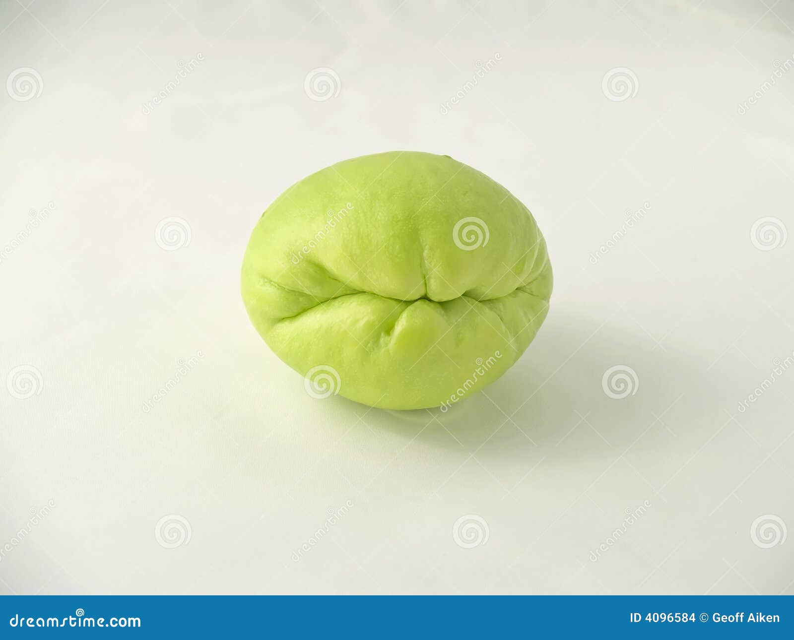 Funny squash stock photo. Image of vegetarian, nature - 4096584