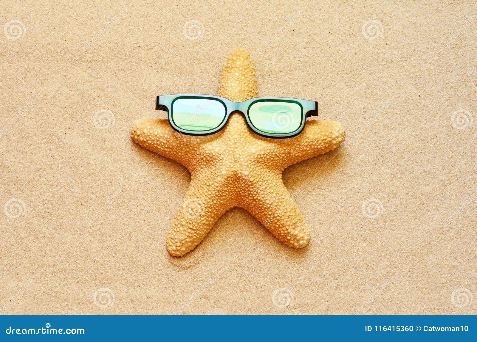 Funny Starfish on the Summer Beach with Sand Stock Photo - Image of ...