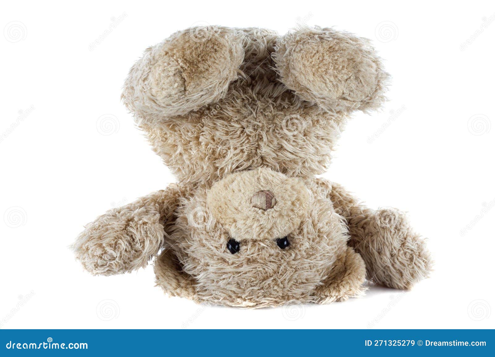 Teddy Bear Turned Upside Down Isolated on White Background Stock Image ...