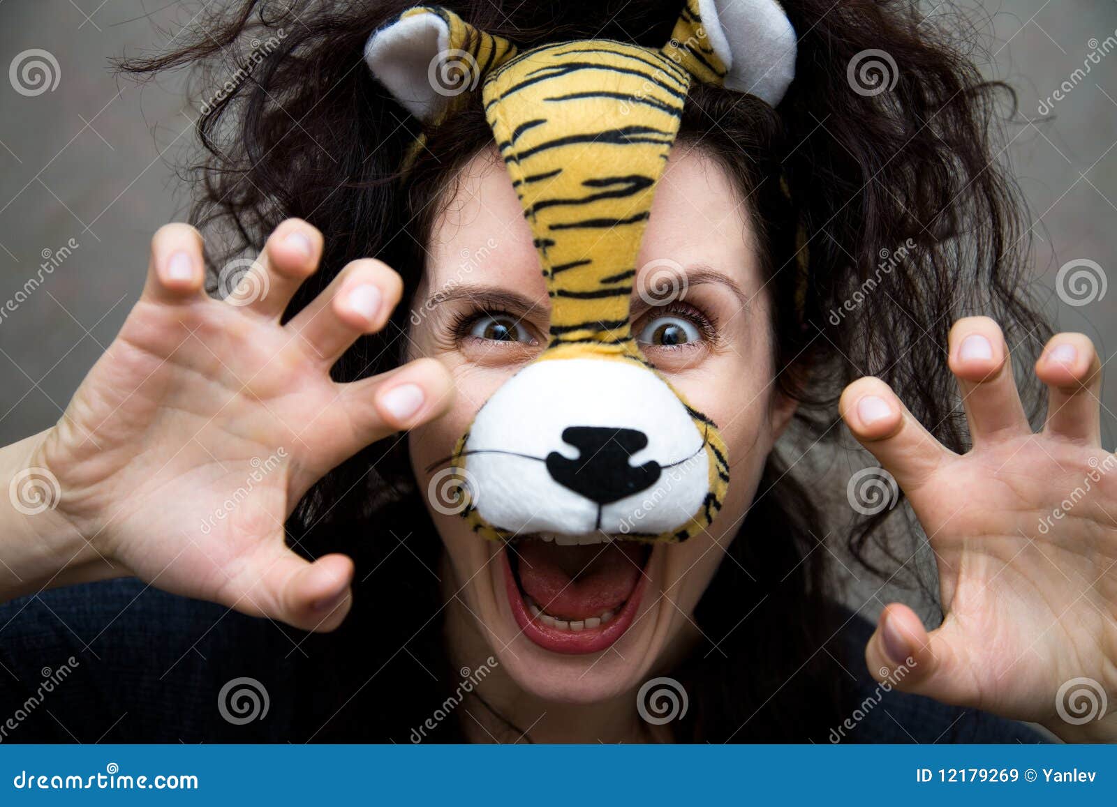 Funny tiger stock image. Image of shaggy, curly, terrible - 12179269
