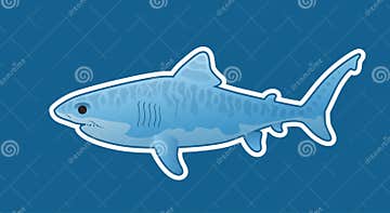Funny tiger shark stock vector. Illustration of animal - 50035183