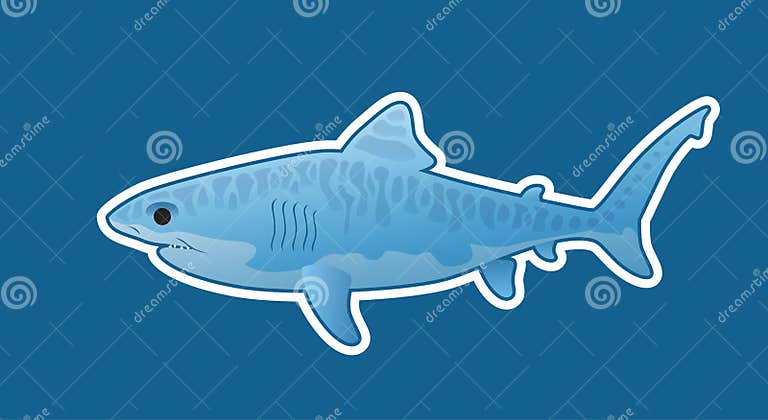 Funny tiger shark stock vector. Illustration of animal - 50035183