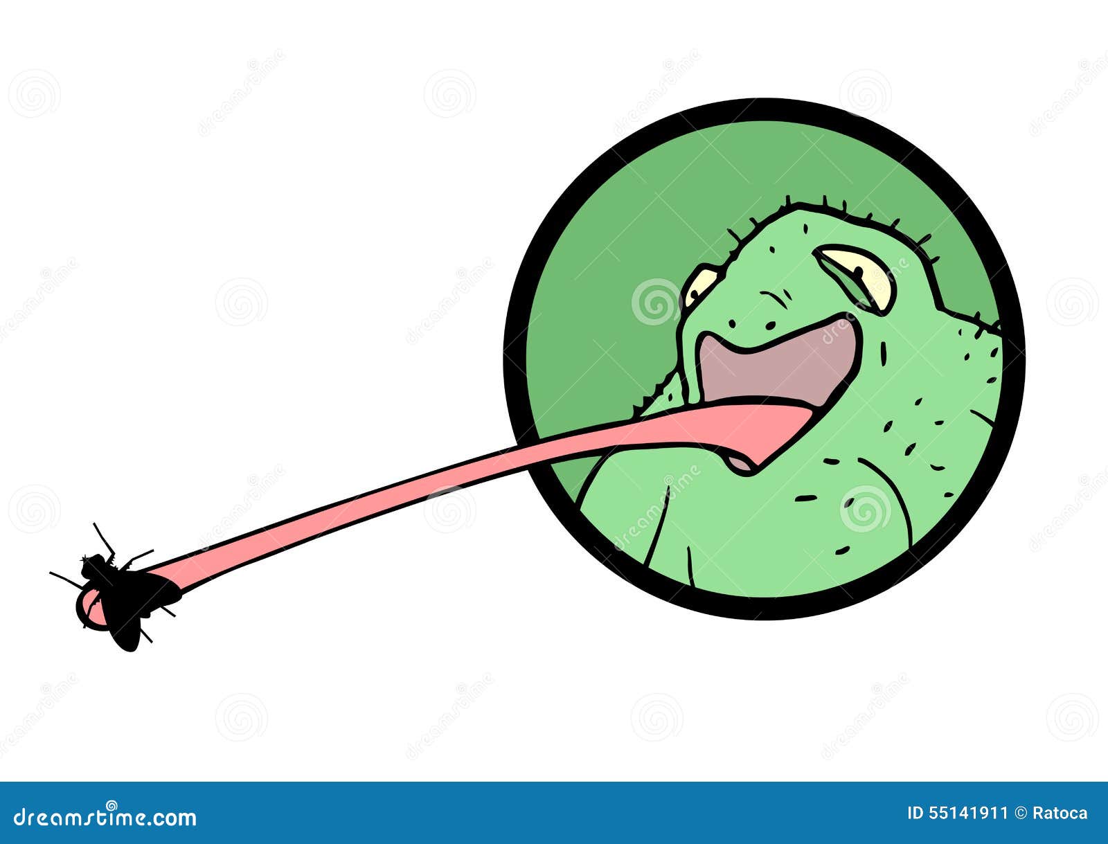 Funny toad eating stock vector. Illustration of drawing - 55141911
