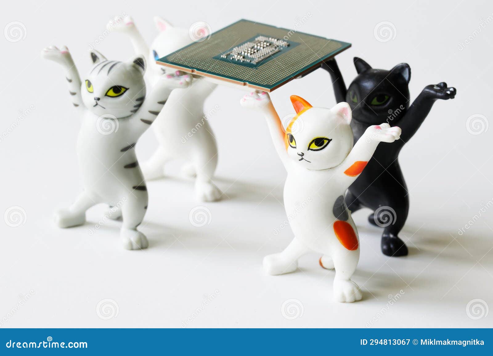 Funny Toy Kittens Carry a Modern Multi-core Computer Processor ...