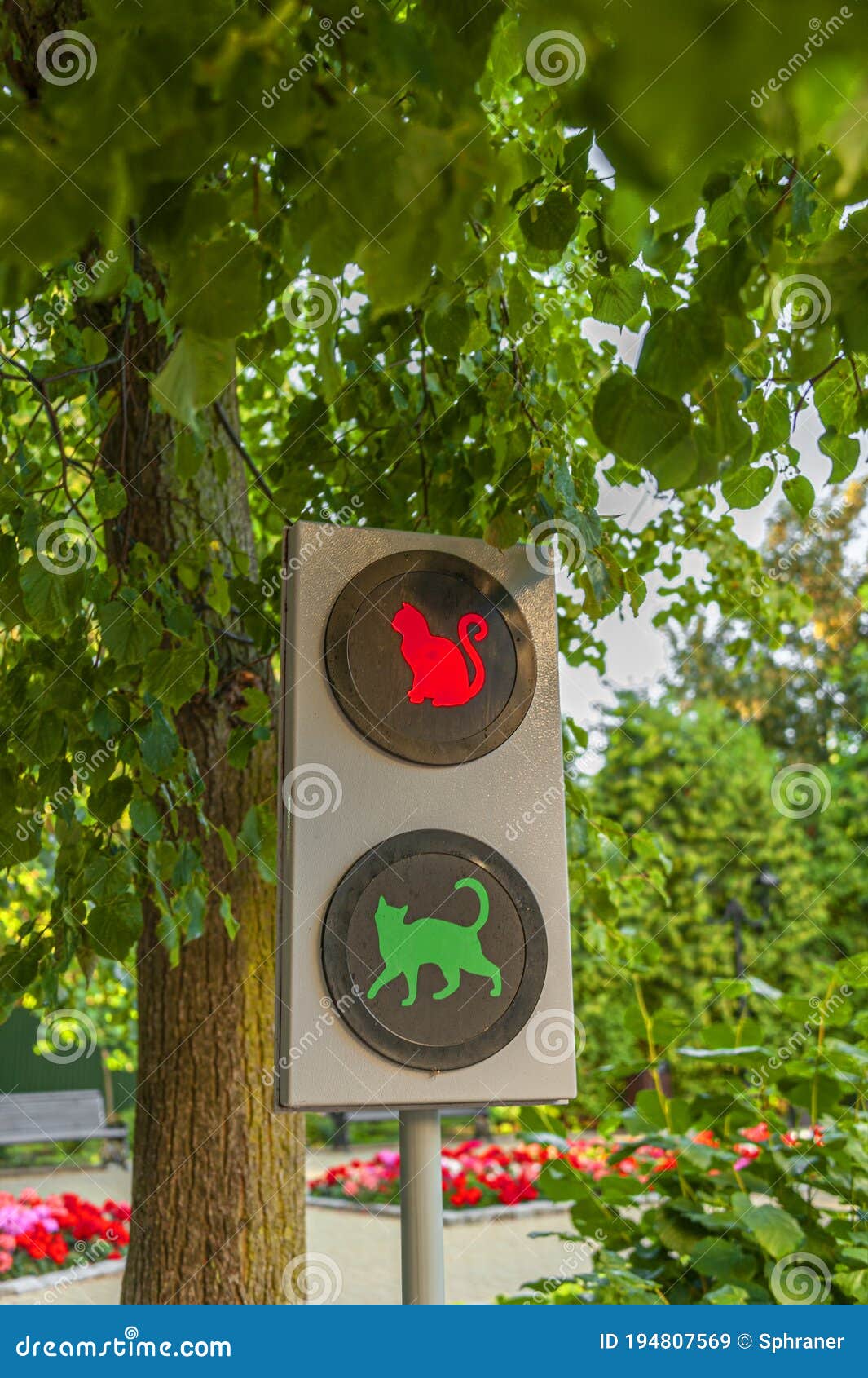 Funny Traffic Signs, Florence, Italy-March 30, 2018: No Entry And Dead ...
