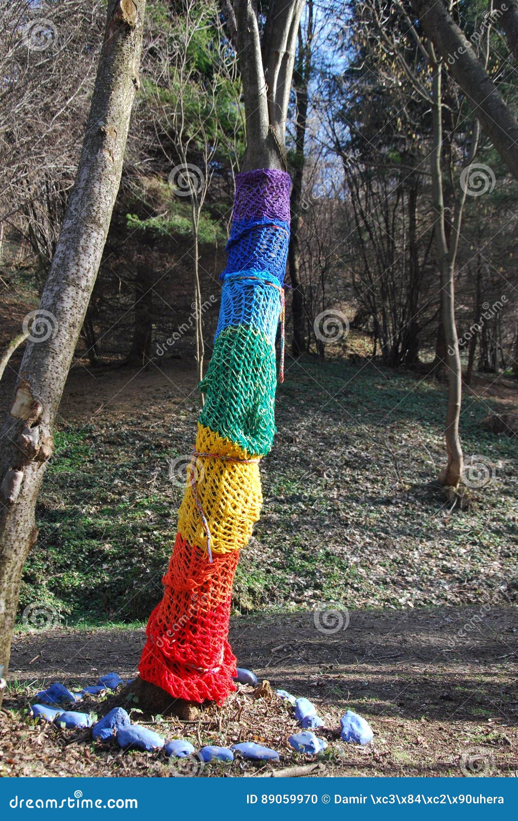 FUNNY TREE: colorful stock photo. Image of hardwood, abstract - 89059970