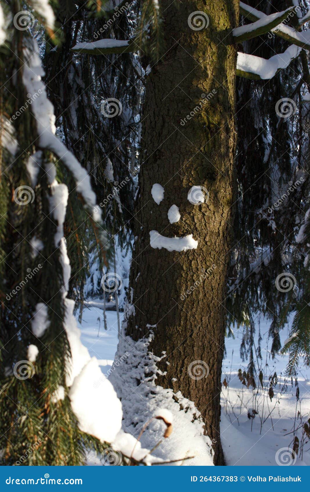 Funny Tree in the Snow with a Smiley Face Stock Image - Image of forest ...