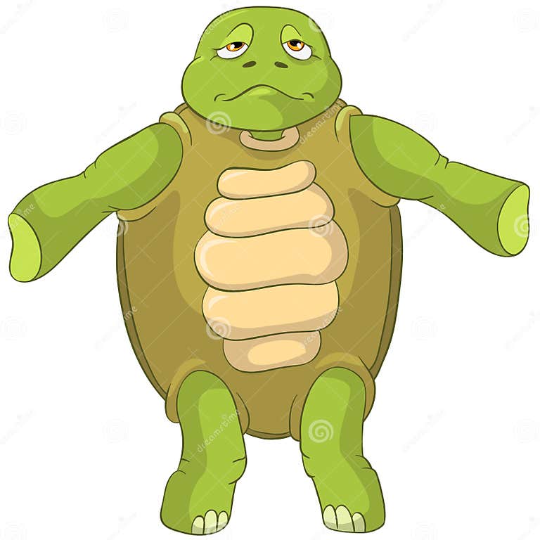 Funny Turtle. Confusion. stock vector. Illustration of nature - 24673327