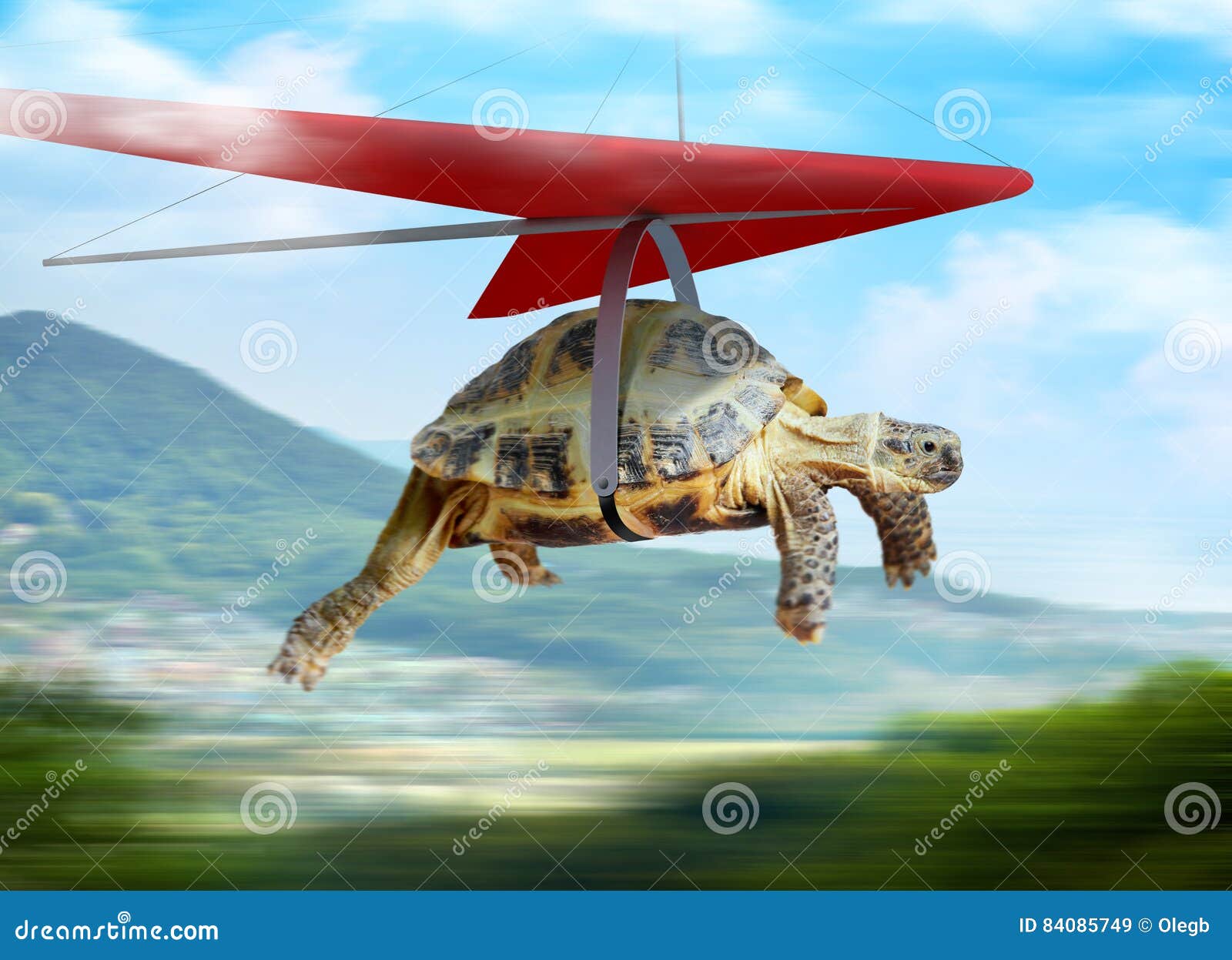 Funny Turtle Flying on Hang-glider Stock Image - Image of adorable ...